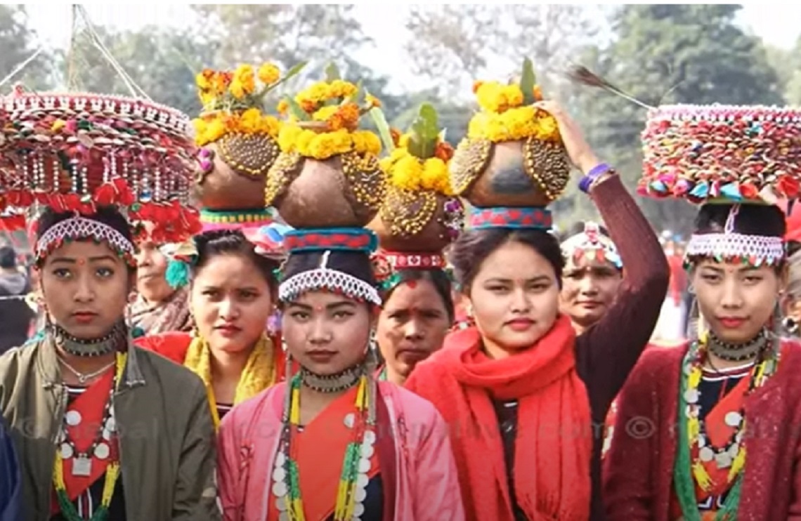 माघीपर्व मनाउँदै थारू समुदाय | Nepal Naksa