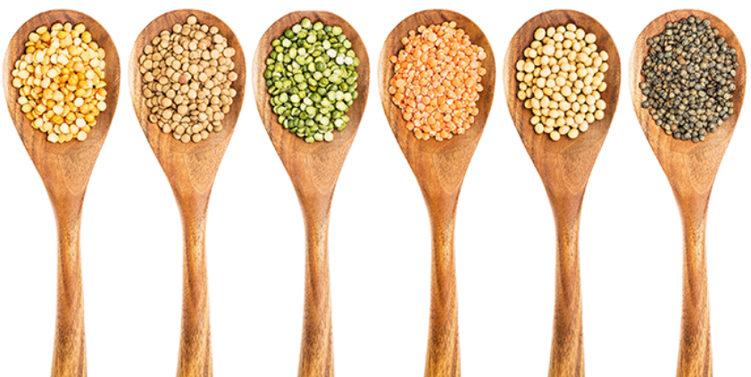 आज अन्तरराष्ट्रिय दाल दिवस | Nepal Naksa